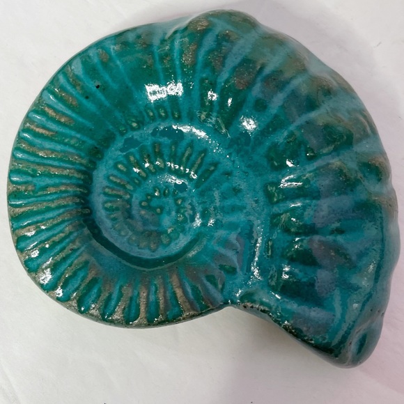 Accents | Nautilus Shell Design Teal Green Coastal Decor | Poshmark